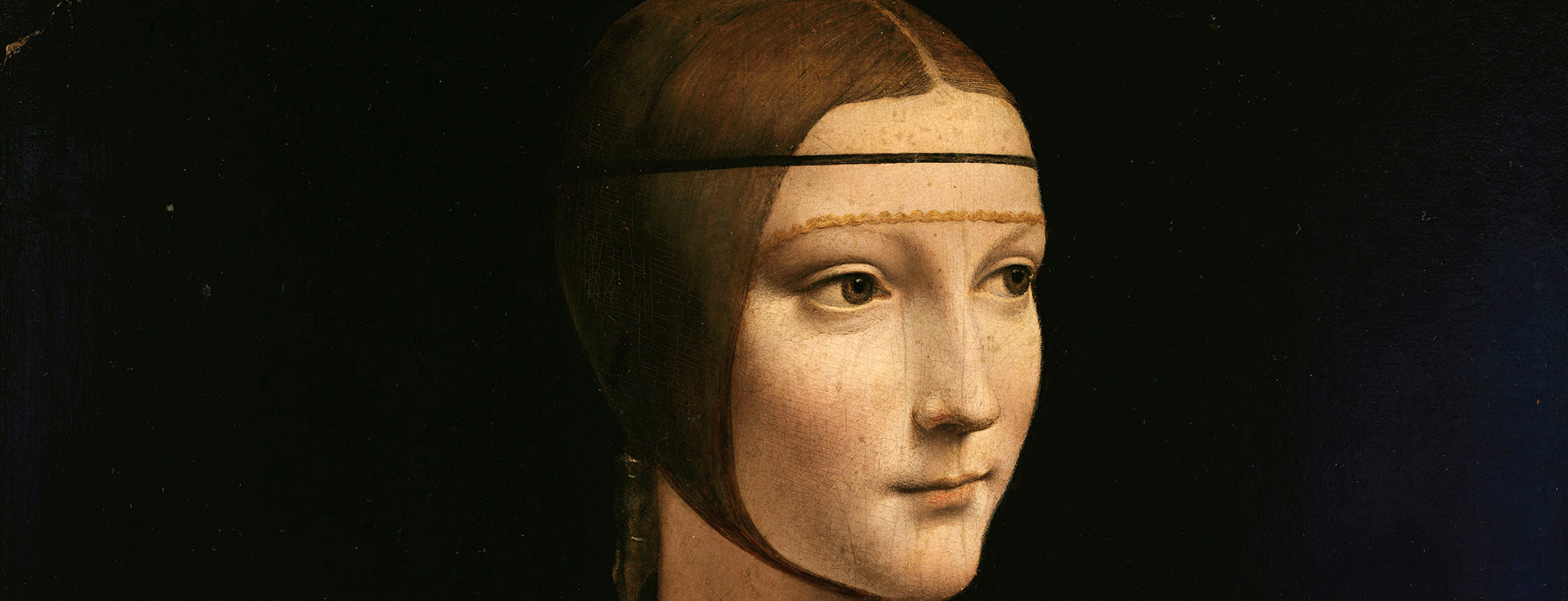 Leonardo da Vinci – Vuecrypte